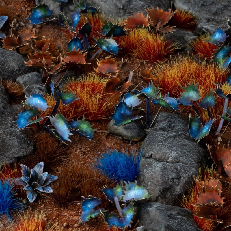 Alien Flytrap - Gamer Grass