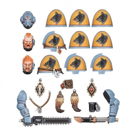 Améliorations Primaris - Space Wolves